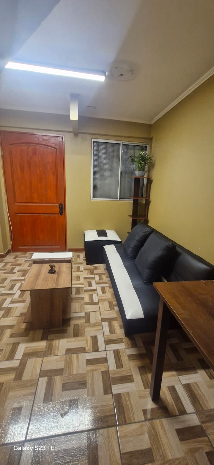 Mono Ambiente En Pleno Centro -