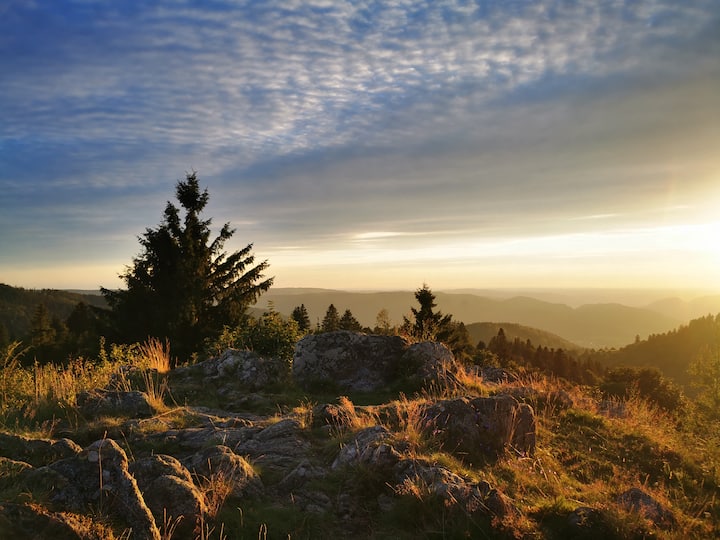 Gîte Haut Les Cœurs - Chalet Hautes‑vosges - Aquafly