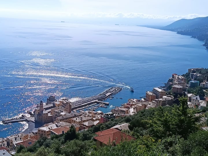 2 Mimose

Citra: 010047-lt-0303 - Recco