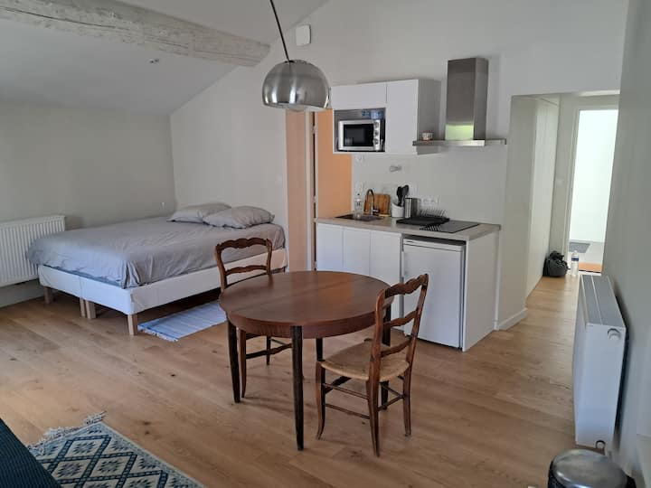 Splendide Studio Tout éQuipé. - Saint-Cyr-au-Mont-d'Or