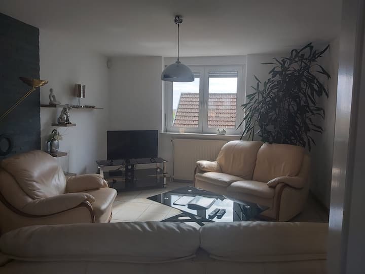 Chez Jeanine Maison Familiale - Erstein