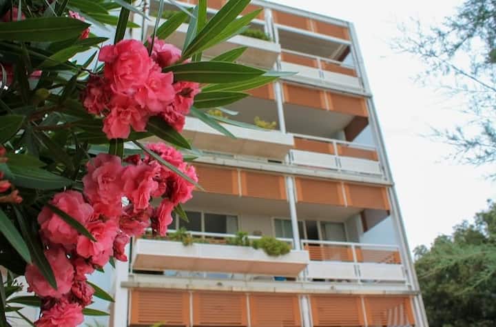 Saporedimare - All Comfort Flat With Rooftop Pool - Marina di Pietrasanta