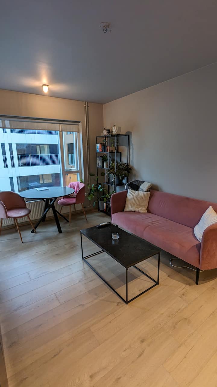 Cosy Downtown Apartment - Reykjavik