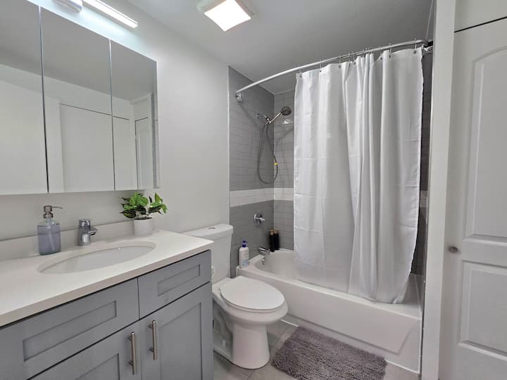 Compact Apt In River North-bt - Chicago, IL
