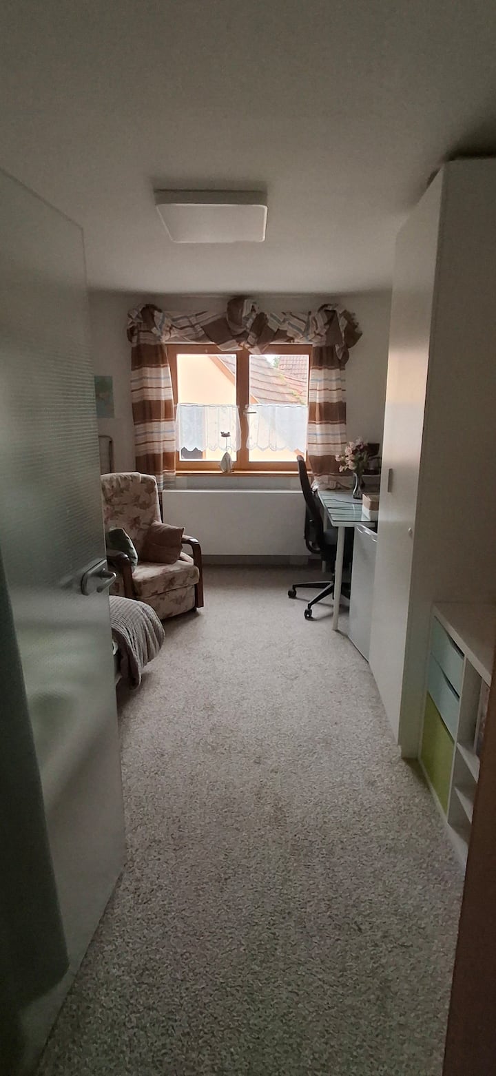 Freundliches Zimmer Mit Katze - Mannheim