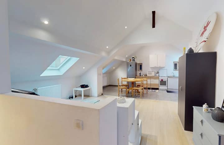 Appartement F2 51 M2 Proche Centre Belfort - Belfort