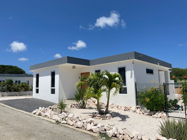 The Luxury Flamingo - Curaçao