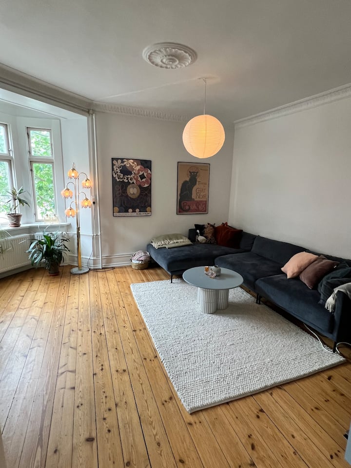 Stor Lys Central Lejlighed - Copenaghen