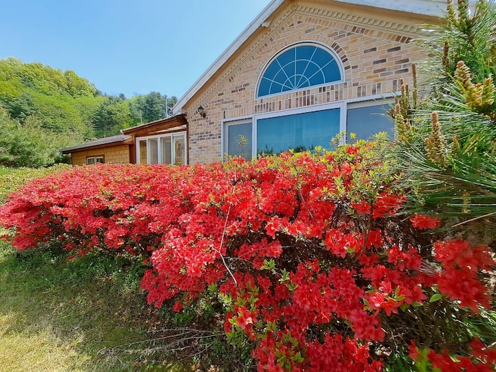 (오크하우스)독채별장.6명 기준/동양평Ic5분 - South Korea