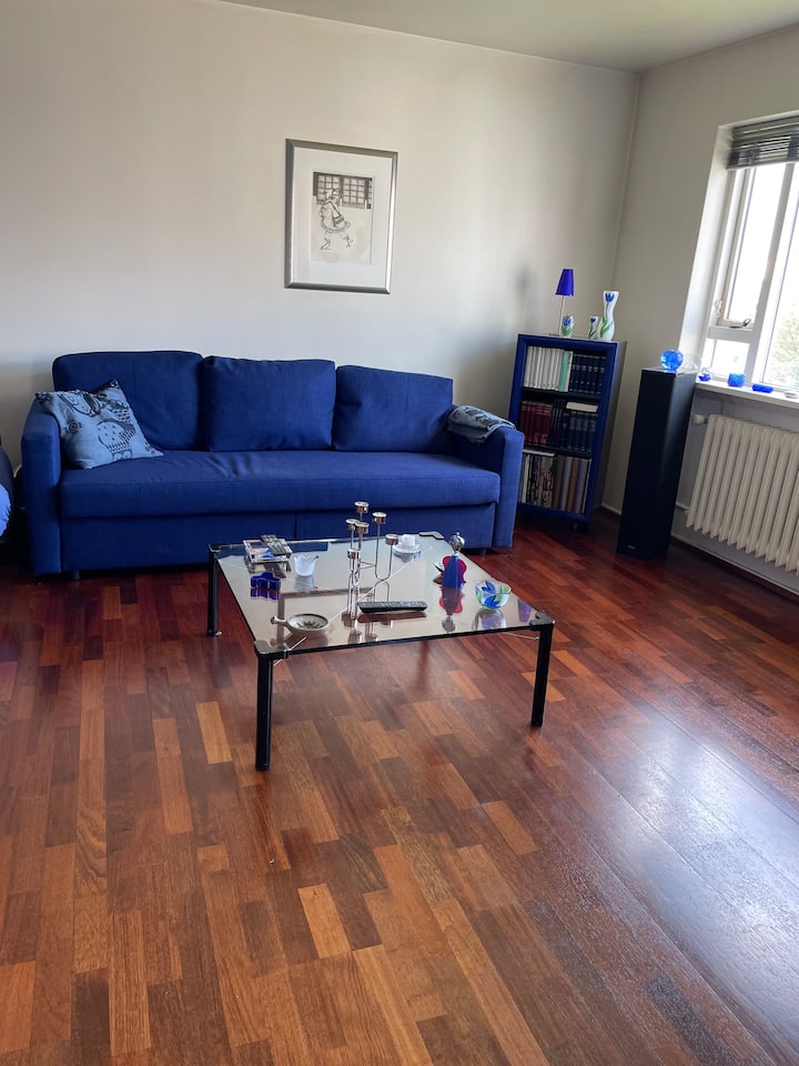 Centralt Beliggende Lejlighed - Rejkiawik