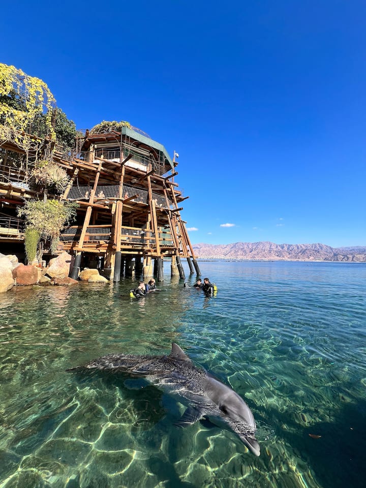 Tiny Piece Of Heaven - Eilat