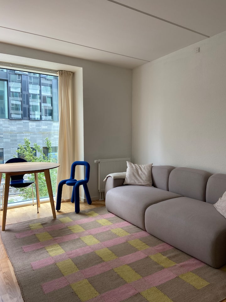 Hyggelig Og Lille Lejlighed - Copenhague
