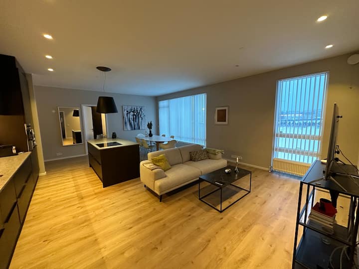 Beautiful Downtown Apartment - Reikiavik