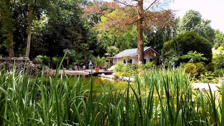 Coco Cabin
Tropisch•hottub•pool•strand•waterval - Woudenberg