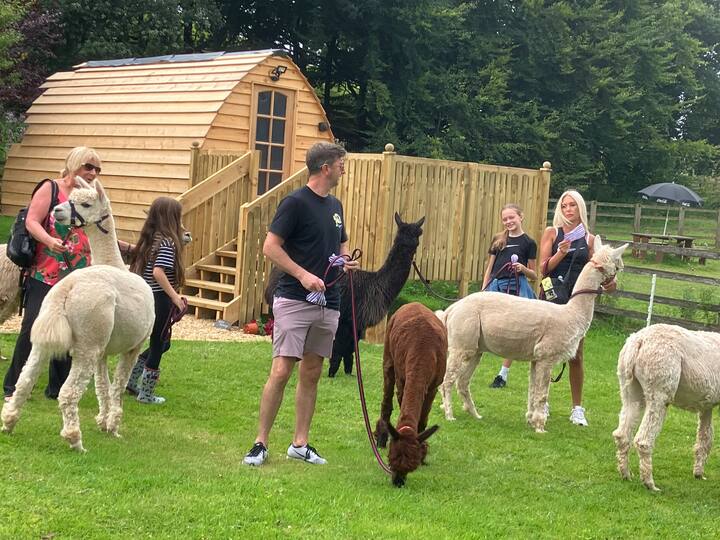 Alpacas Hideaway Pod - Northwich