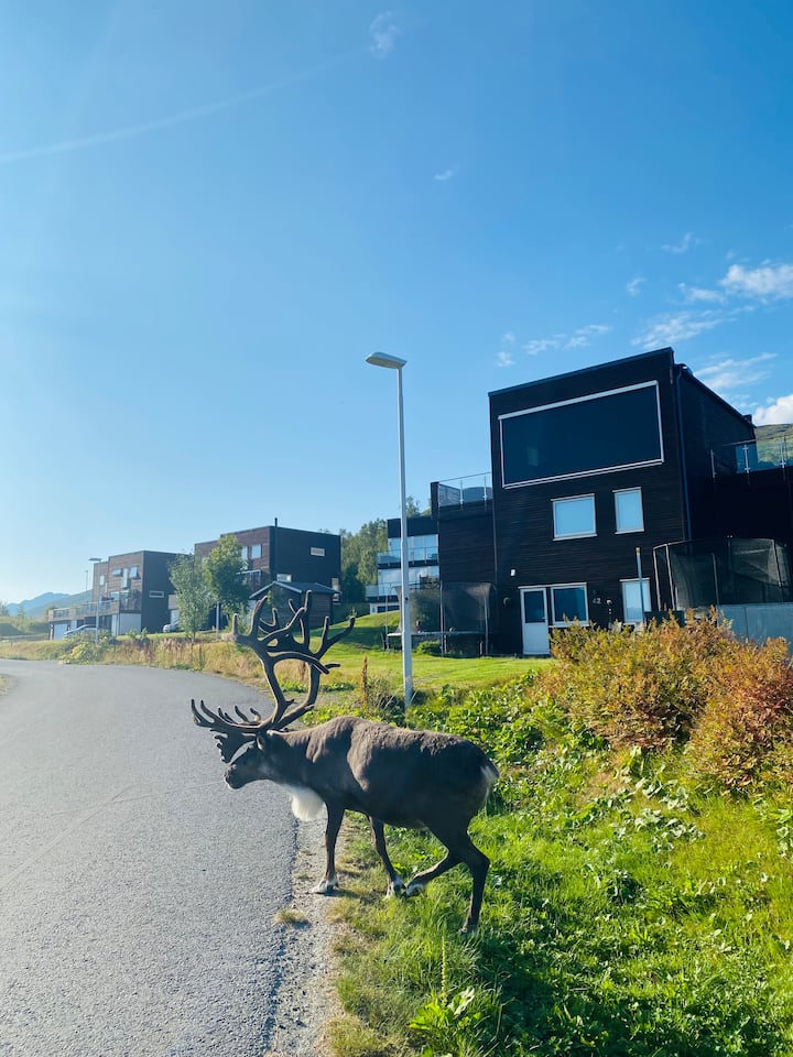 Leilighet I Tromsø - Tromsø