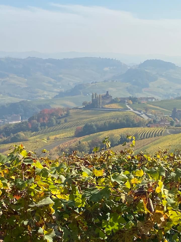 Soave Tra Le Langhe - Barolo