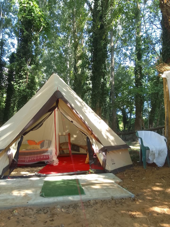 Tente Type Yourte Dans Bois - Pont-Saint-Esprit