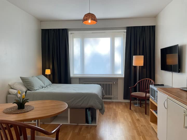 Viihtyisä Ja Rauhallinen Pikku Yksiö - Finland