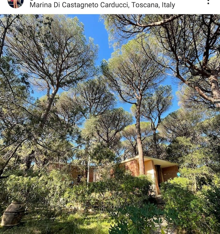 Villino Piano Terra - Castagneto Carducci