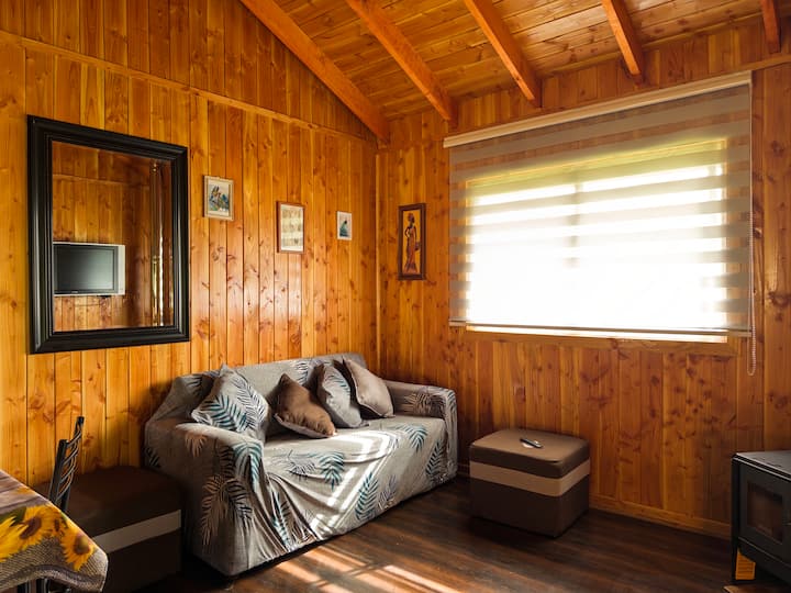 Cabaña ÑAncul - Puyehue