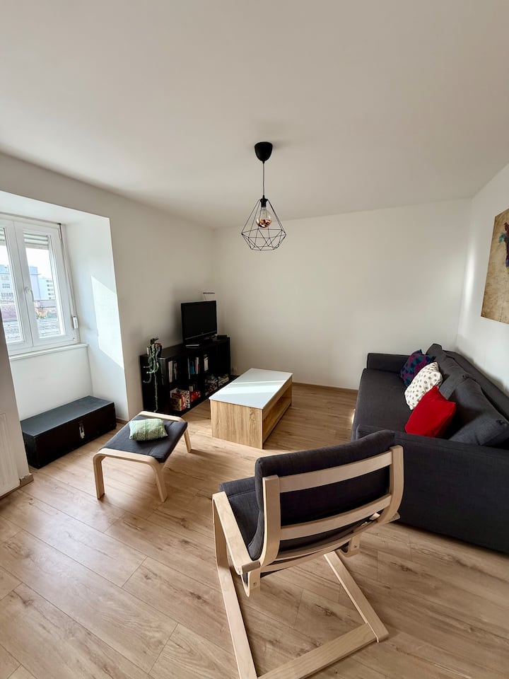 T2 Spacieux - Proche Centre De Strasbourg - Bischheim