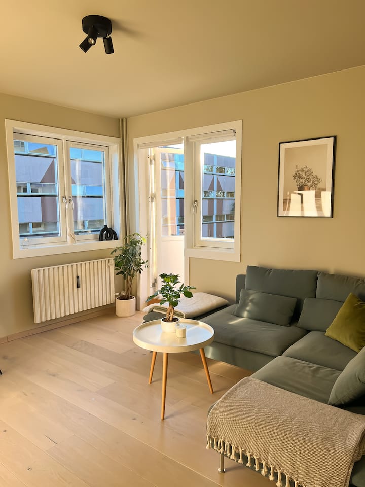 Leilighet På Torshov - Oslo