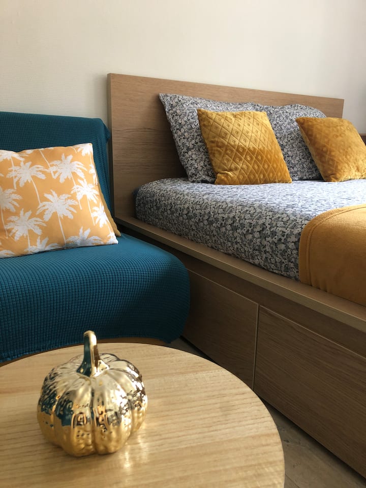 Gîte Charme Scandinave Avec Terrasse - Vichy - Cusset