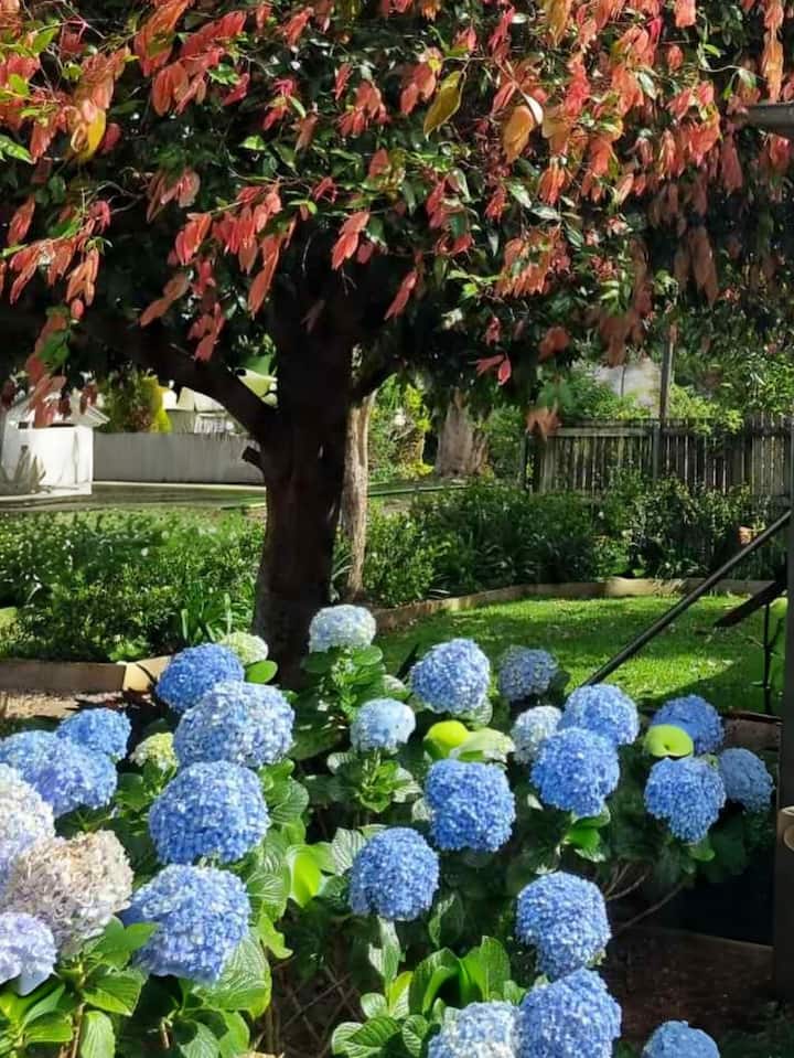 Wagtail Cottage - 500m To Town - Atherton