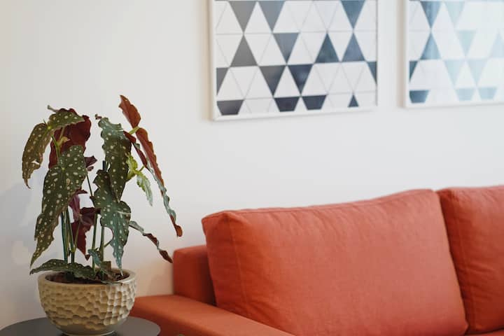 Ap Tijucas: Ap De 1 Quarto No Calçadão - Curitiba