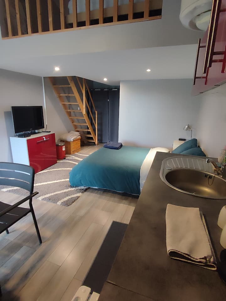 Studio De 25m2 - Gaillac