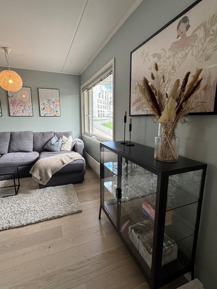 Leilighet Til Utleie - Oslo