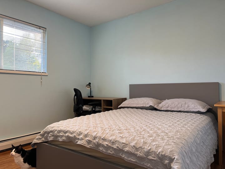 Cozy, Inviting Bedroom With Big Closet - Coquitlam