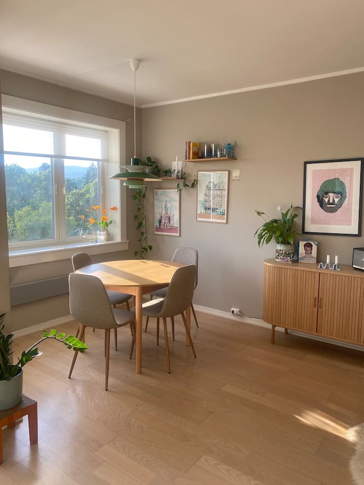 Koselig Og Sentralt Hjem Med Grønn Utsikt - Oslo