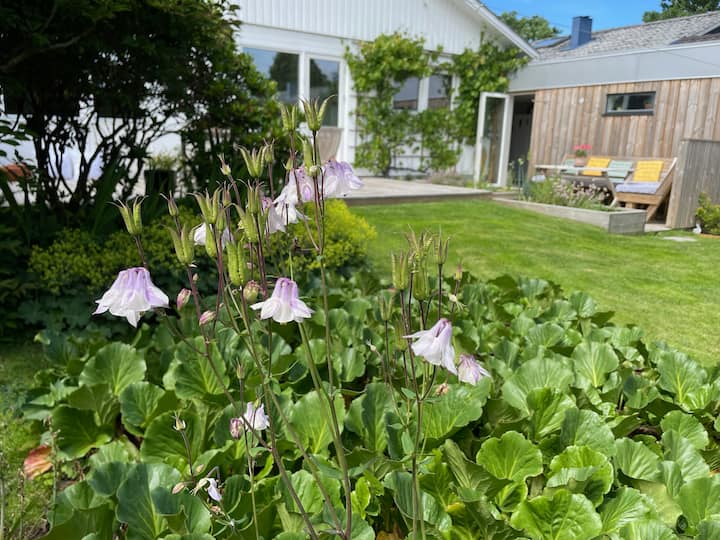 Eget Hus Nära Strand - Halmstad