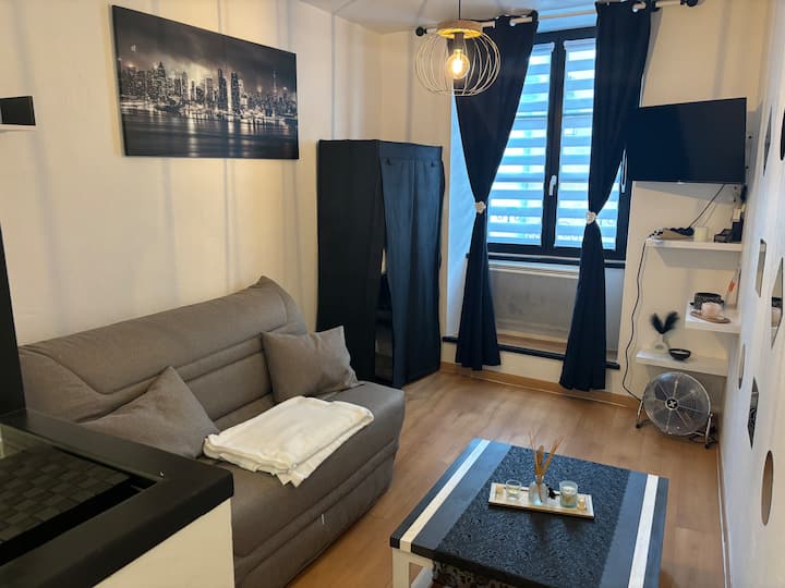 Petit Nid Douillet Studio Clim - Riom