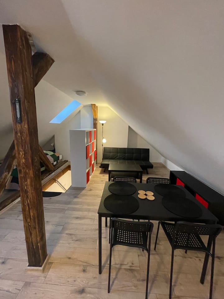 Francis Apartment 2- Lázeňské Centrum - Karlovy Vary