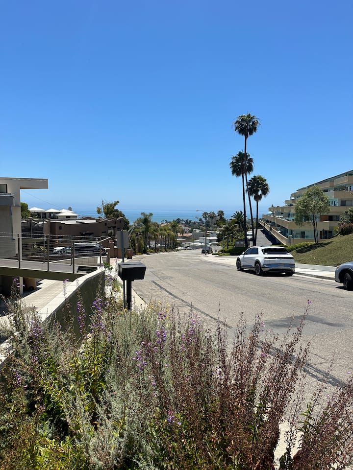 Kalorama Canyon Room With A View - Ventura, CA