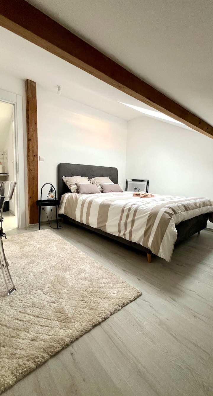 Appart Neuf, éPuré Et Bien Placé - Mulhouse