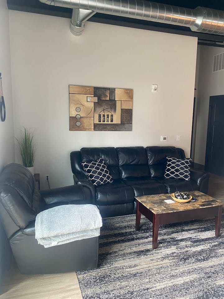Cozy Luxury Apartment Downtown - Kalamazoo, MI