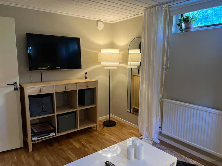 Cozy 1-bedroom Basement Apartment - Uppsala