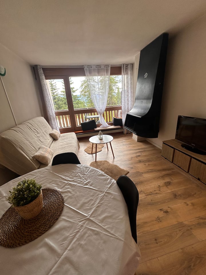 Studio Plein Centre De Valberg Et Lumineux - Valberg