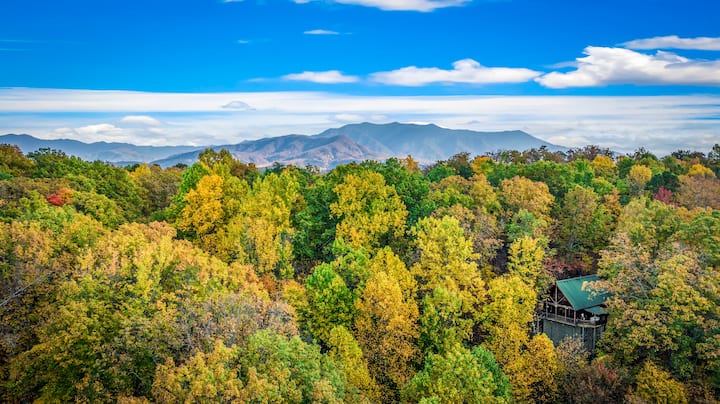 Hidden Gem Near It All: Bear Paw Lodge - Gatlinburg, TN