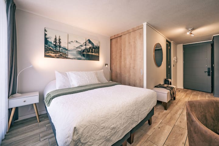 Studio Temático| Wifi | Lavadora-secadora |  Metro - Santiago