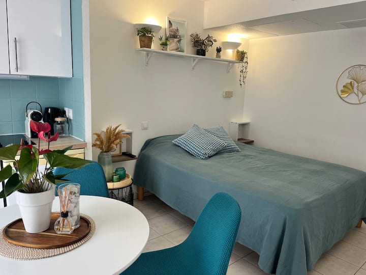 Studio Piscine à 150 M De La Mer - Nizza