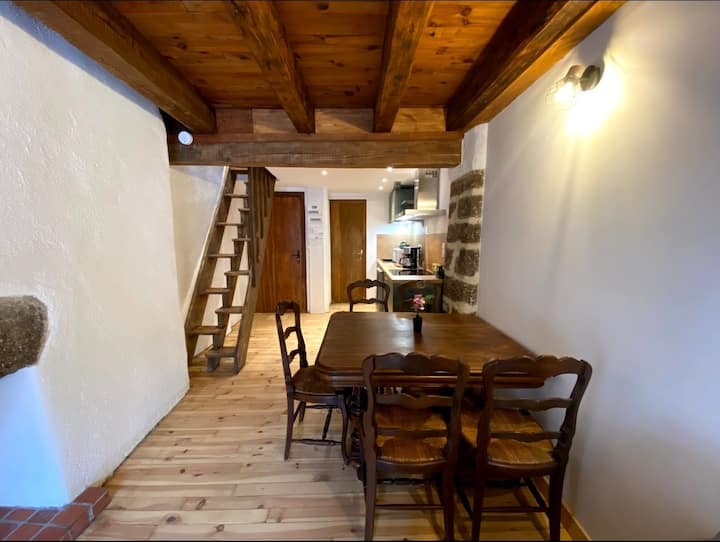 Le Verveine (Charmant Duplex) - Le Puy-en-Velay
