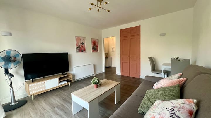Charmant T1 + Balcon + Clim + Parking - Juan les Pins