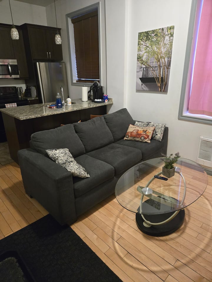 Entire Place Downtown Ottawa 39d - Ottawa