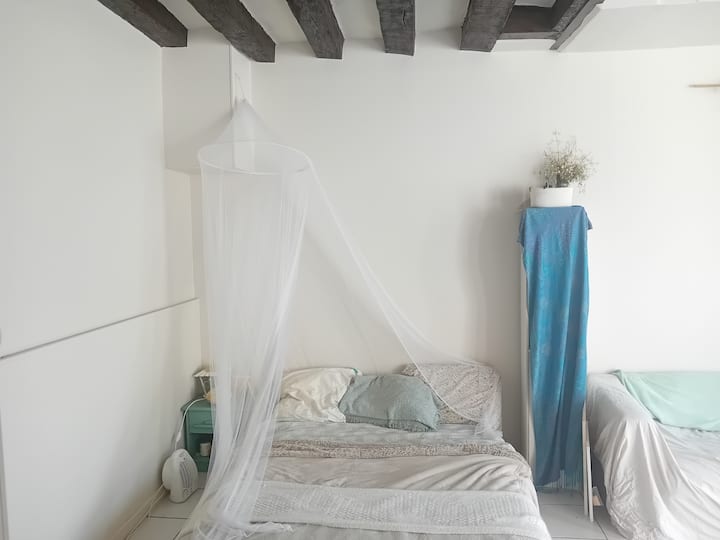 Appartement Cosy Et Charmant - Senlis