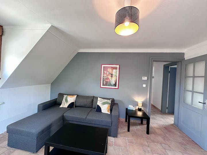 Appartement 3 Chambres à Baldenheim - Hessenheim